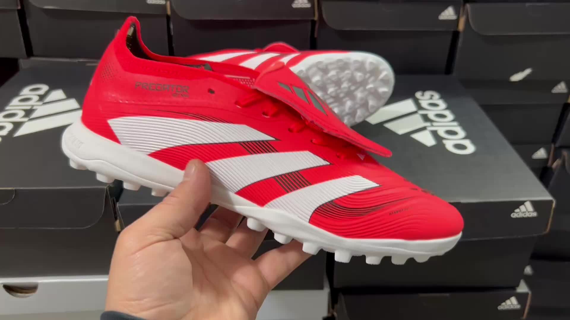 IMG_3822.mov | 又拍图片管家